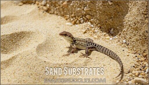 Best Reptile Habitat Materials: Top 6 Safe Substrates for 2025