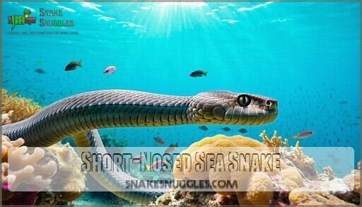 Rare Snake Species List: 20+ World's Rarest Snakes You've Never Seen