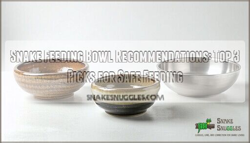 Snake Feeding Bowl Recommendations: Top 3 Picks for Safe Feeding