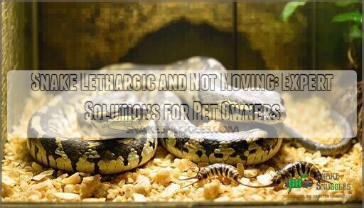 Snake Lethargic and Not Moving: Expert Solutions for Pet Owners
