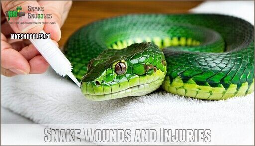 Snake Diseases How to Treat: Complete Guide to Symptoms & Cures