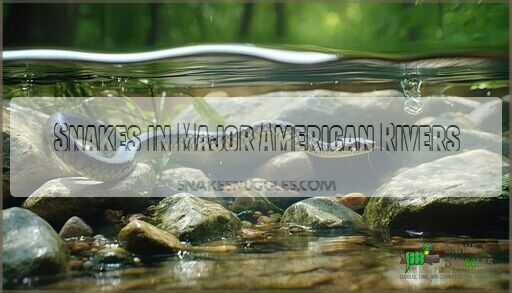 Aquatic Snake Habitats Freshwater Rivers: Top Species & Locations