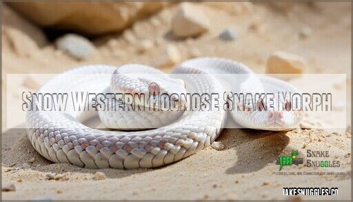 Hognose Snake Morph Guide: 25+ Types, Prices & Care Tips