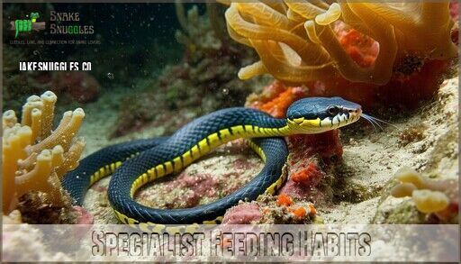 Coral Reef Snake Marine Habitats: Adaptations & Conservation Facts