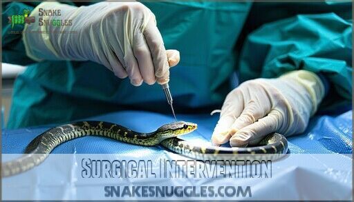 Treating a Prolapsed Snake Vent: 9 Emergency Steps to Save Your Pet