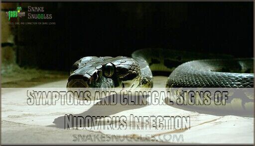 Snake Diseases: Nidovirus & Paramyxovirus - Deadly Viral Threats