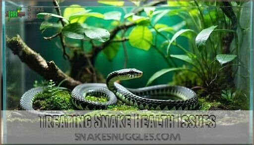Pet Snake Health Issues: Warning Signs Every Owner Must Know