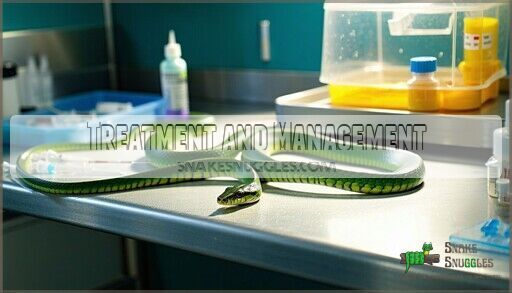 Snake Diseases How to Treat: Complete Guide to Symptoms & Cures