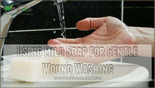 Safe Snake Wound Care Practices: Essential Steps to Prevent Infection