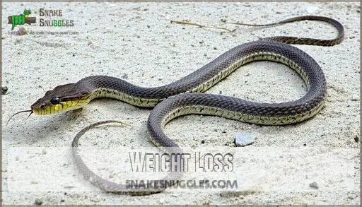 Snake Metabolic Bone Disease: Signs, Causes & Treatment Guide