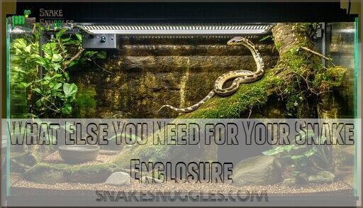 Snake Housing Glass: Pros, Cons & Expert Tips for Safe Reptile Enclosures