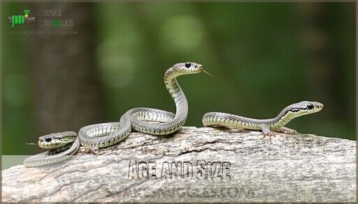 How Long Can Snakes Go Without Food? Shocking Survival Facts