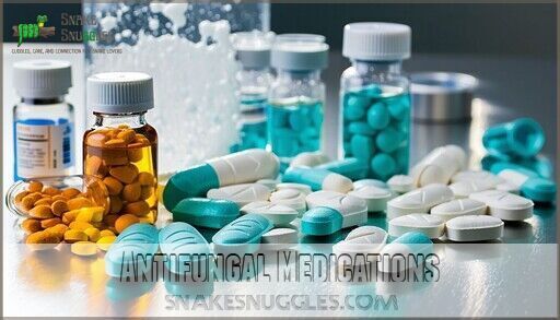 Snake Fungal Infection Treatment: Expert Guide to Causes & Cures