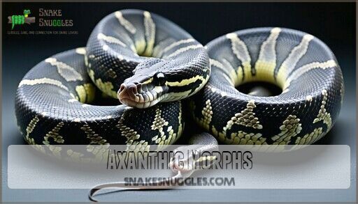 Ball Python Morph Guide: 50+ Stunning Varieties & Breeding Tips