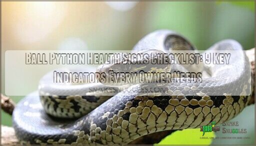 Ball Python Health Signs Checklist: 9 Key Indicators Every Owner Needs
