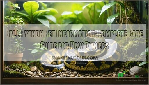 Ball Python Pet Information: Complete Care Guide for New Owners