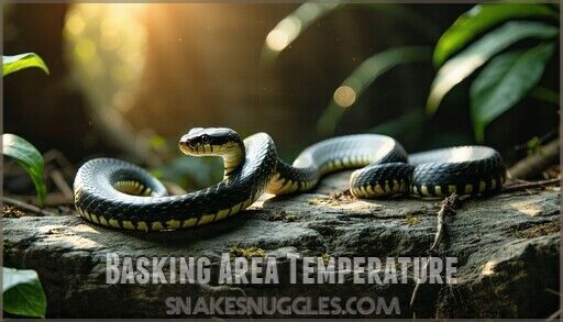 King Snake Care Sheet: Complete Guide to Habitat, Diet & Health