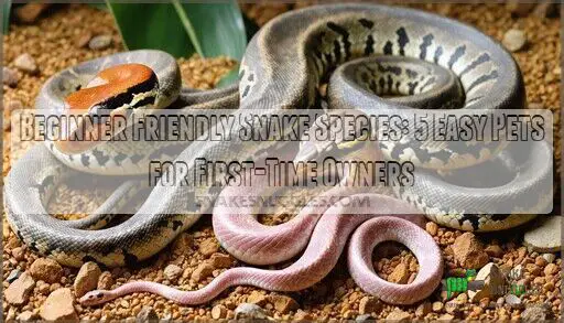 Beginner Friendly Snake Species: 5 Easy Pets for First-Time Owners