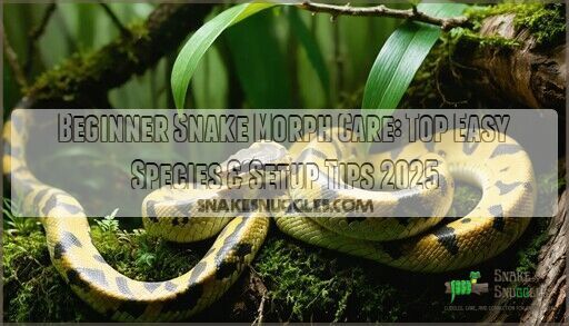 Beginner Snake Morph Care: Top Easy Species & Setup Tips 2025