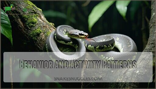 Carpet Python Unique Characteristics: 5 Amazing Facts You Never Knew