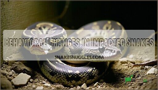 Impacted Snake Treatment Options: Expert Care & Recovery Guide