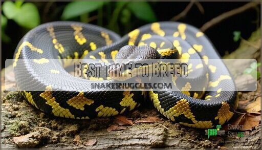 Best Time to Breed Snakes: Complete Guide for Successful Mating