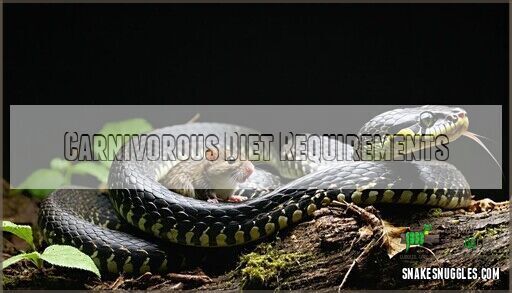 King Snake Care Sheet: Complete Guide to Habitat, Diet & Health