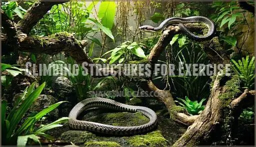 The Importance of Snake Enrichment: Essential Guide for Happy Pets