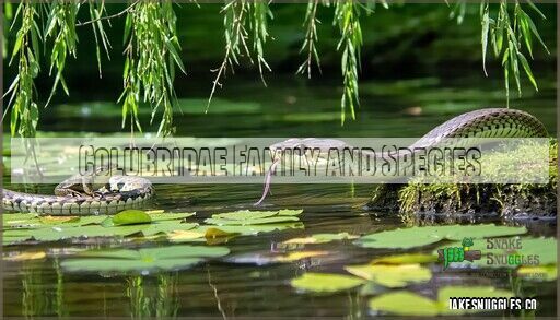 Riparian Zone Snake Species Interactions: Wildlife Survival Guide
