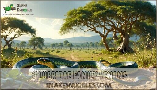 Snake Venom Types by Species: Deadly Toxins & Their Fatal Effects