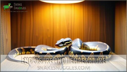 Ball Python Species Information: Complete Care & Health Guide