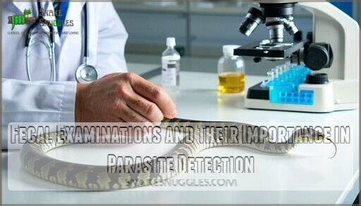 Snake Health Parasites and Infections: Protect Your Pet Today