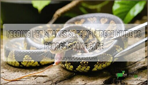 Feeding Pet Snakes Safely: Expert Guide to Proper Snake Care