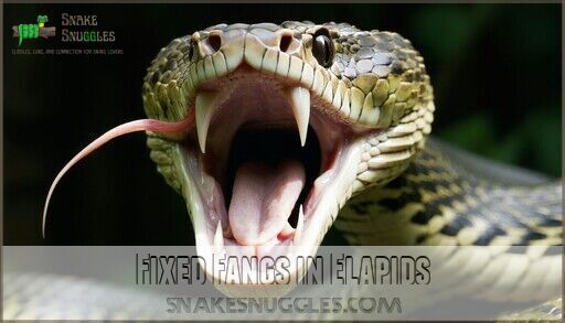 Venomous Snake Fangs Length: World's Longest & Most Deadly Revealed