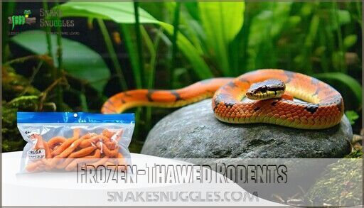 Beginner Friendly Snake Species: 5 Easy Pets for First-Time Owners