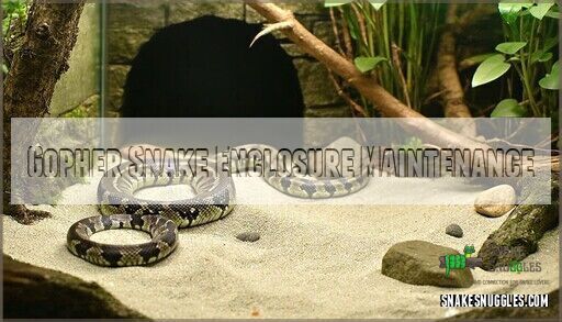 Care for Gopher Snakes: Complete Beginner's Guide & Tips