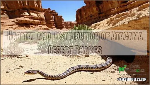 Snake Habitat in The Driest Desert: 7 Shocking Survival Secrets
