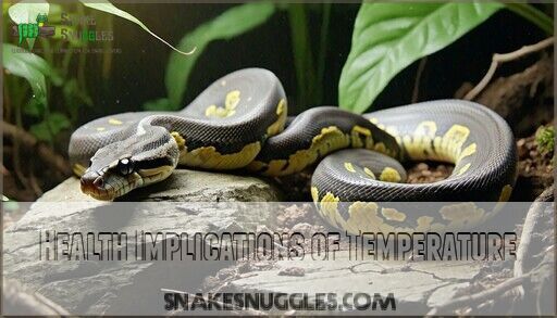 Snake Habitat Temperature Guide: Species Requirements & Setup Tips