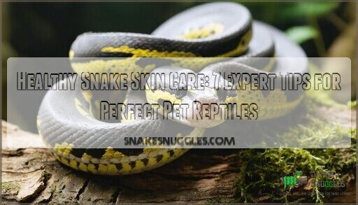 Healthy Snake Poop: What to Look for and Signs of Potential Issues