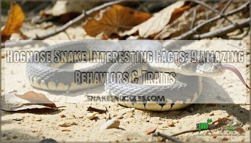 Hognose Snake Interesting Facts: 9 Amazing Behaviors & Traits