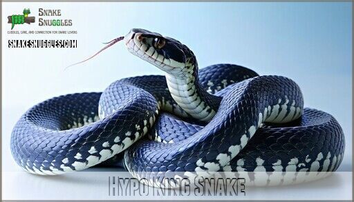 King Snake Morph Identification Guide: 50+ Types & Colors (Photos)