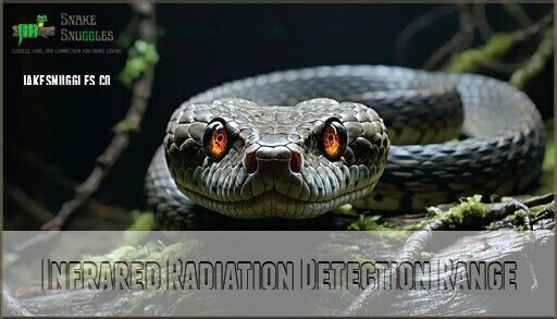 Pit Viper Heat Sensing Organs Anatomy: How These Snakes Hunt in Dark