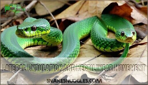 Snake Behavior Patterns: Decoding Movements, Postures & Communication