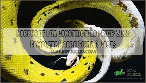 Morphs of Boa Constrictors Price: 2025 Complete Morph Guide & Costs