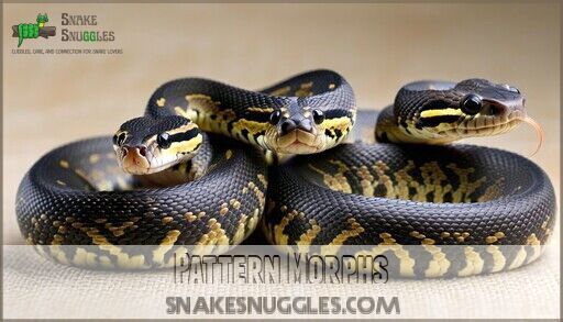 Ball Python Snake Breeds: 75+ Morphs, Colors & Care Guide 2025