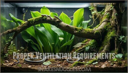 Corn Snake Habitat Requirements: Complete Setup Guide for 2025