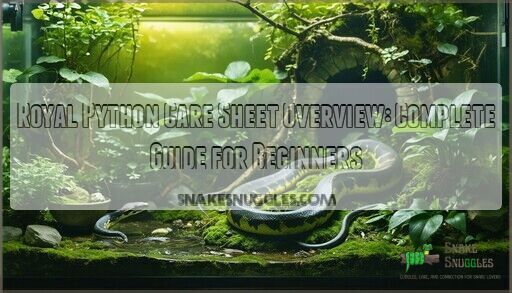 Spider Ball Python: Unraveling the Captivating Wobble & Ethics Debate