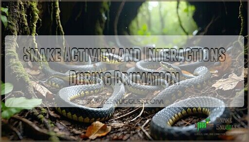 When Do Snakes Hibernate? Complete Guide to Snake Brumation Facts