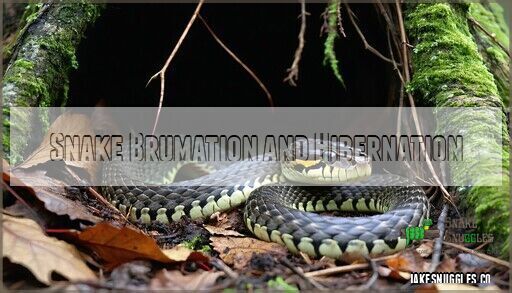 Snake Hibernation Habits: Survival Secrets of Winter Dormancy