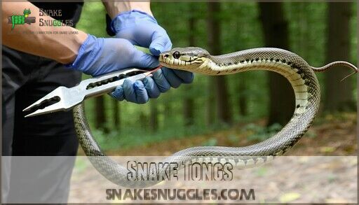 Comfortable Snake Handling Positions: Expert Safety Tips & Techniques